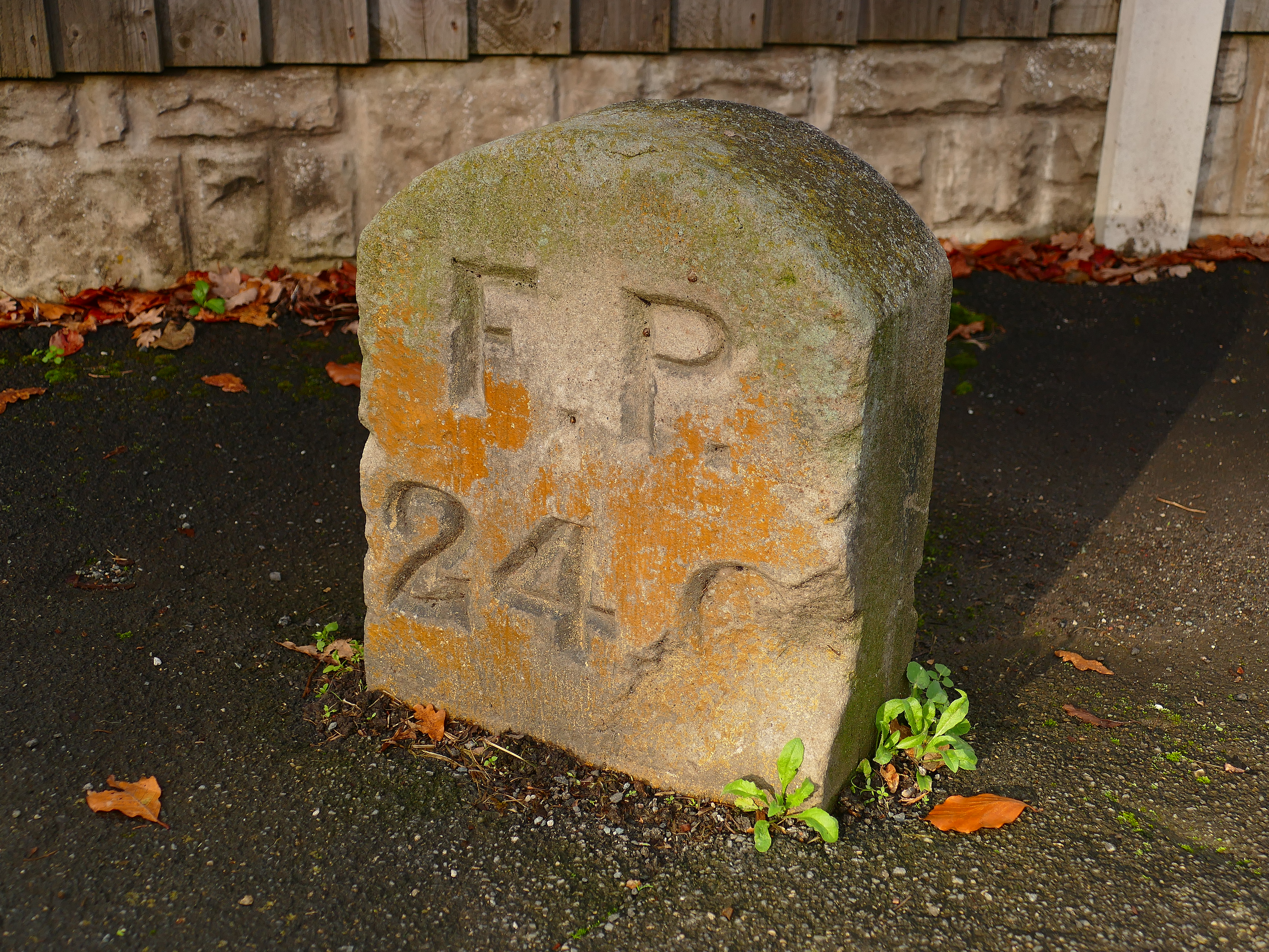 South Ribble Fire Hydrant Stones – Christopher's Cactus Corner